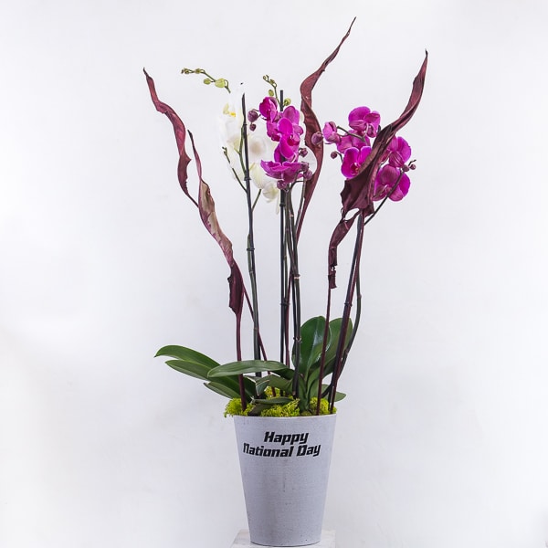Best Flower Shops in Doha | Online Same Day Delivery in Qatar